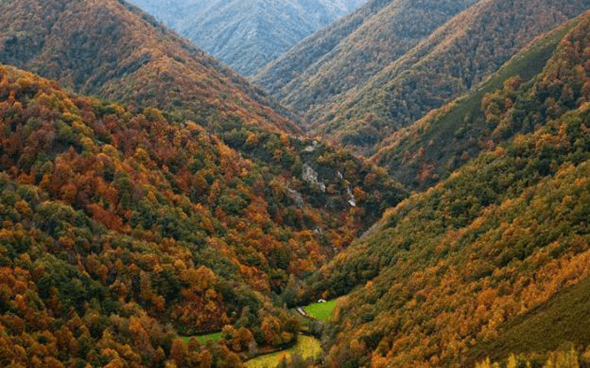 Continental to Arid Climate Zones Becoming Less Apt for Biodiversity in ...