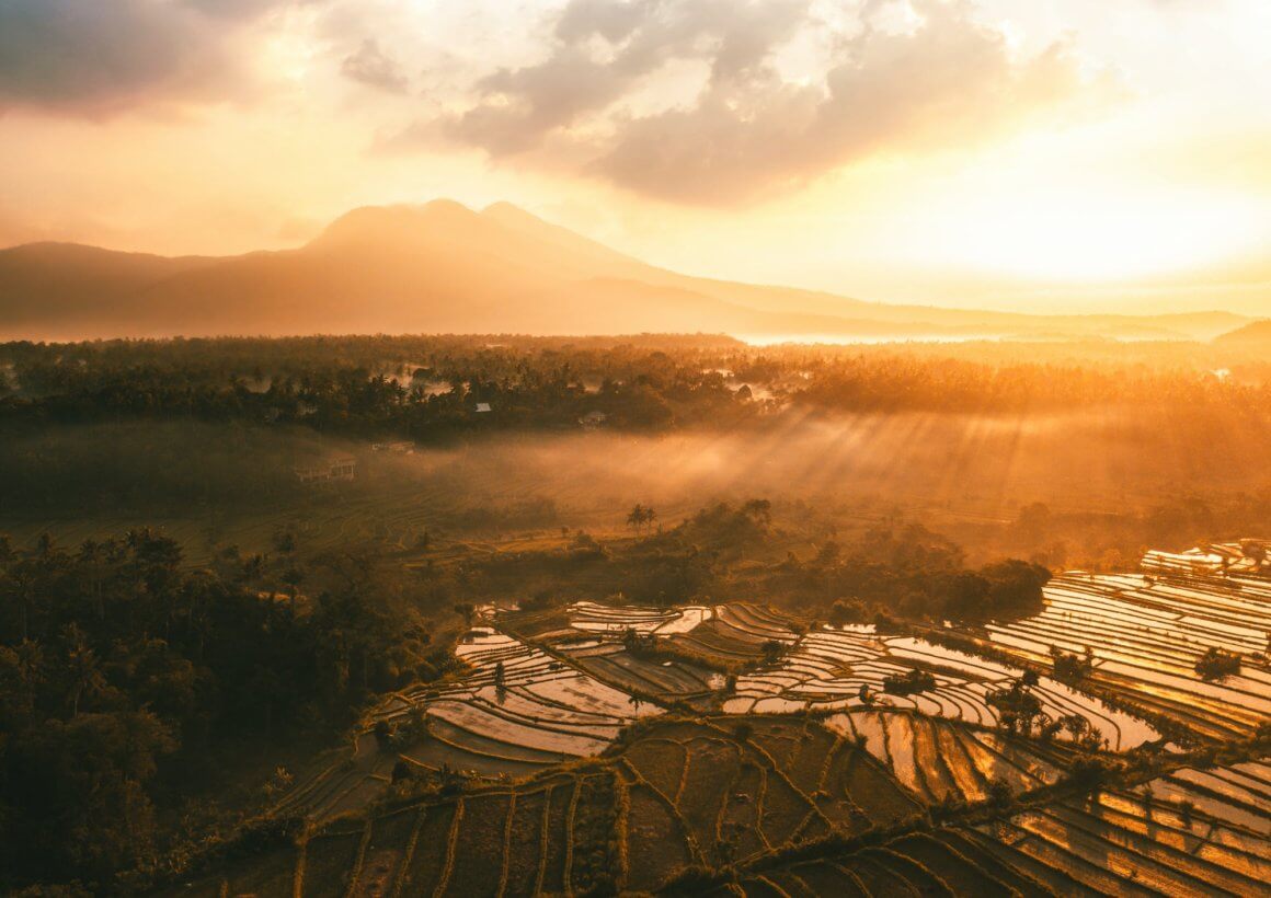 Climate Scorecard | Reports on Climate Policies Across the Globe