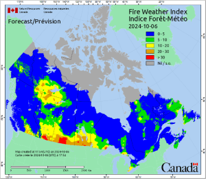 Canada Has Been Losing its Old-Growth Forests - Climate Scorecard