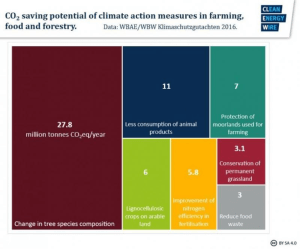 Forests Cover About 32.68% of Germany's Land Area - Climate Scorecard