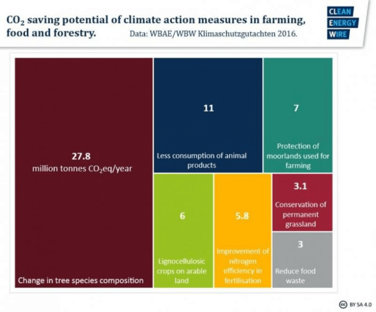 Forests Cover About 32.68% of Germany's Land Area - Climate Scorecard