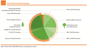 Forests Cover About 32.68% of Germany's Land Area - Climate Scorecard