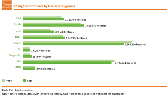 Forests Cover About 32.68% of Germany's Land Area - Climate Scorecard