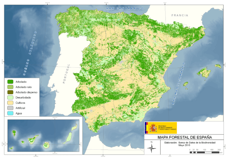 Spain’s Forest Ecosystems Could Become Sources of Emissions, As is ...