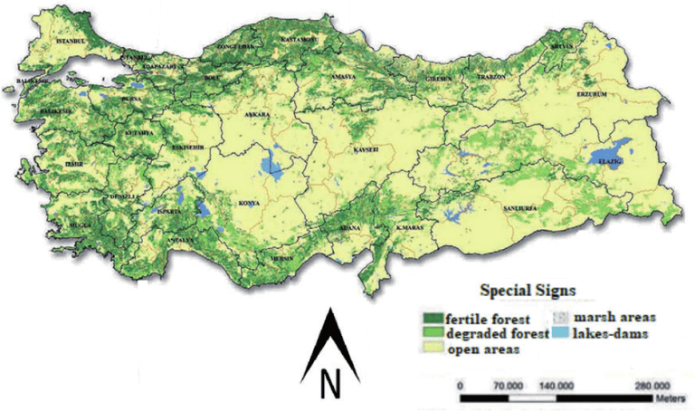 Forests Cover Almost a Third of Turkey and Produce 42 Million Tons of ...